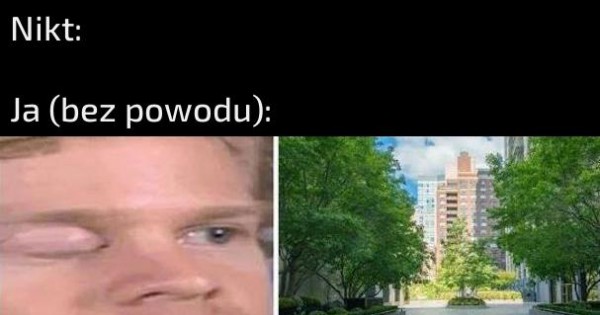 Ciekawe, dlaczego tak jest - Jeja.pl