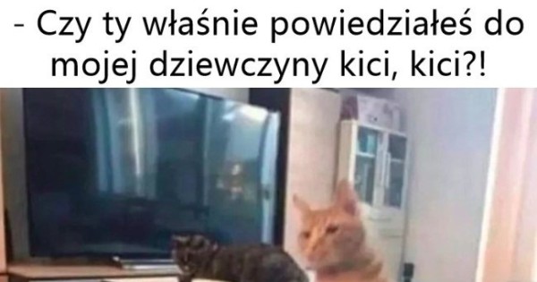 Masz przekićkane opie.... - Jeja.pl