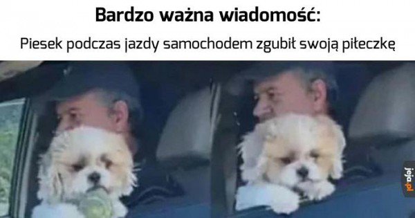 Biedny - Jeja.pl