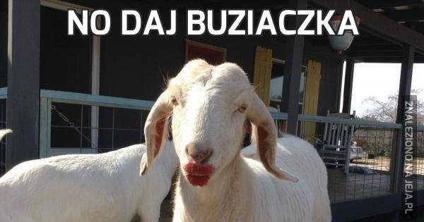 No daj buziaczka - Jeja.pl