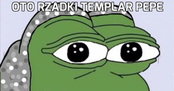 Oto rzadki Templar Pepe - Jeja.pl
