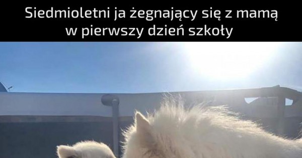 Pa, mamo - Jeja.pl