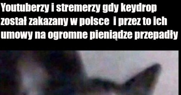 Nienawidzę osób promujących hazard i samego hazardu też - Jeja.pl