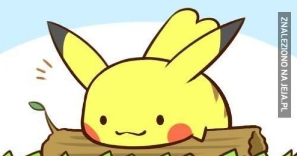 Pikachu znalazł Thunderstone - Jeja.pl
