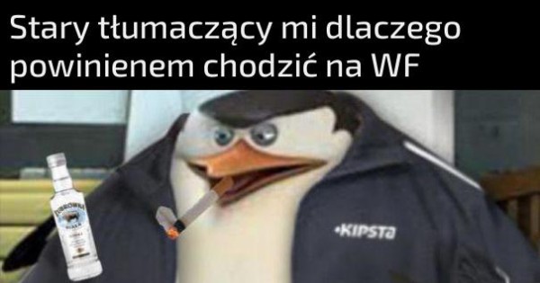Pingwin 922+ Najlepszych Memów Jeja.pl