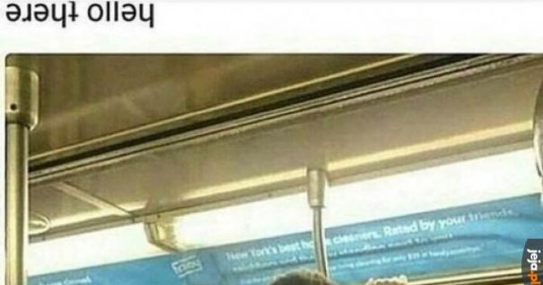 A witam, witam - Jeja.pl