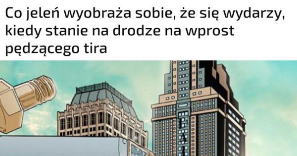 Jelenie - Jeja.pl