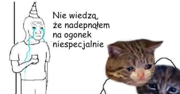 Smutek i cierpienie - Jeja.pl