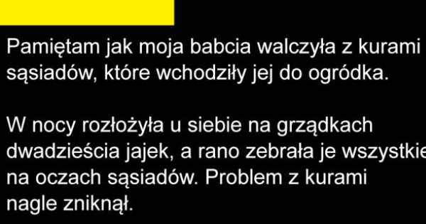 Cwana babcia - Jeja.pl