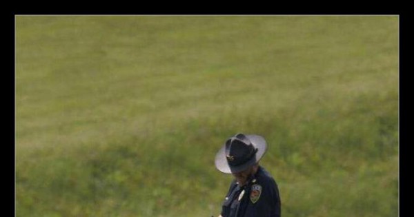 Kitku ma mandacik - Jeja.pl