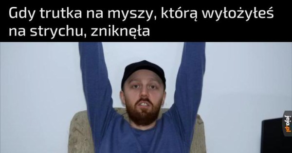 Oby w końcu wszystkie te szkodniki zdechły, myszy też - Jeja.pl