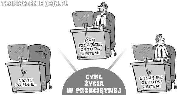 Cykl życia w przeciętnej pracy - Jeja.pl