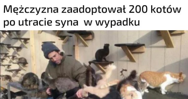 Szacuneczek - Jeja.pl