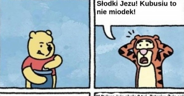 No tak - Jeja.pl