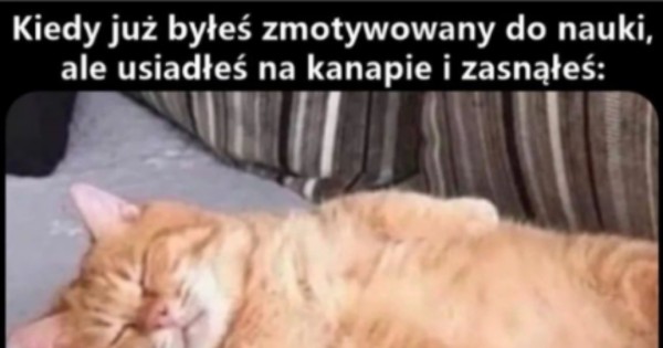 Zawsze to samo - Jeja.pl