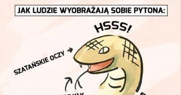 Jeszcze dziś przytul pytona! - Jeja.pl