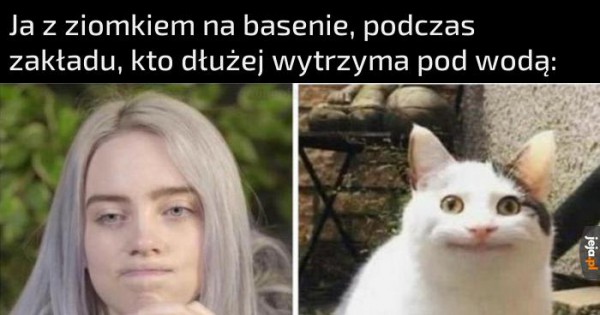 Bul bul bul - Jeja.pl