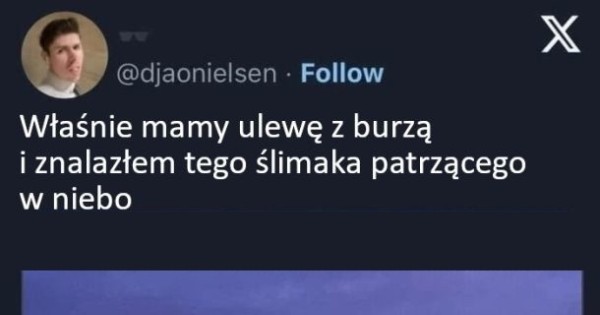 Wystawił rogi, ale gdzie pierogi? - Jeja.pl