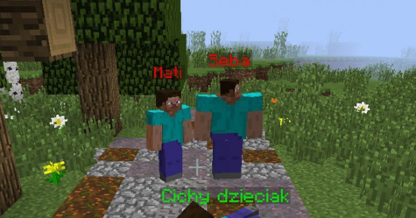 Łobuzy z Minecrafta - Jeja.pl