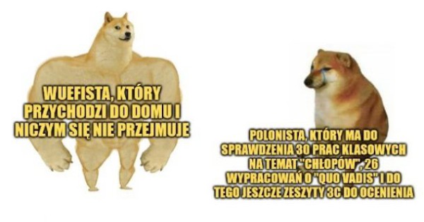 Nie kopcie piłki od siatki! - Jeja.pl