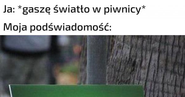 W nogi! - Jeja.pl