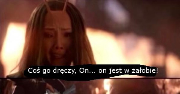 Biedna ćma - Jeja.pl