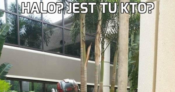 Halo? Jest tu kto? - Jeja.pl