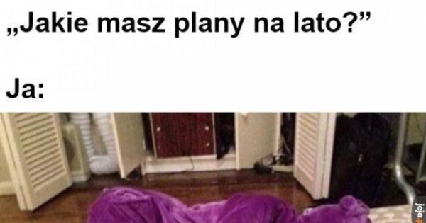 Plan idealny - Jeja.pl
