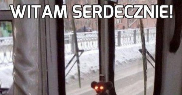 Witam serdecznie! - Jeja.pl