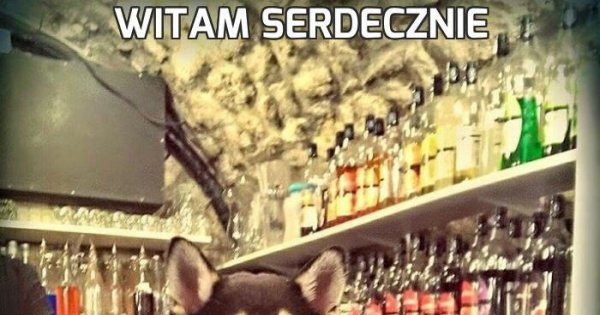 Witam serdecznie - Jeja.pl