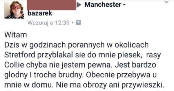 Dziwny jakiś - Jeja.pl