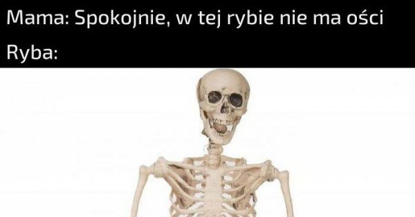 Moja ulubiona ryba to filet - Jeja.pl