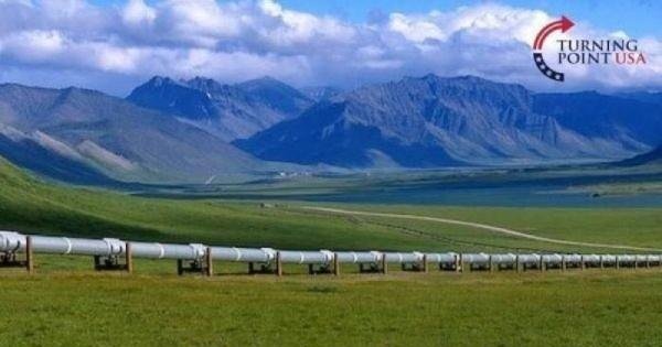 Ekologia starter pack - Jeja.pl