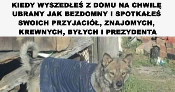 Zawsze - Jeja.pl