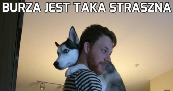 Burza 190+ Najlepszych Memów Jeja.pl