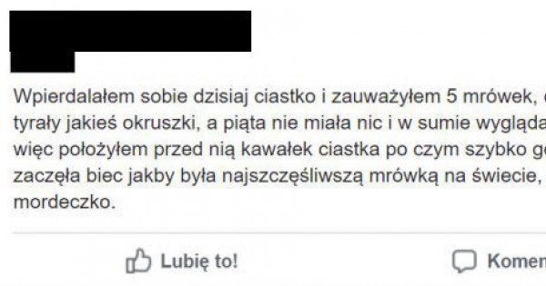 Zrobił mrówce dzień - Jeja.pl