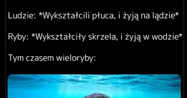 Smutne - Jeja.pl