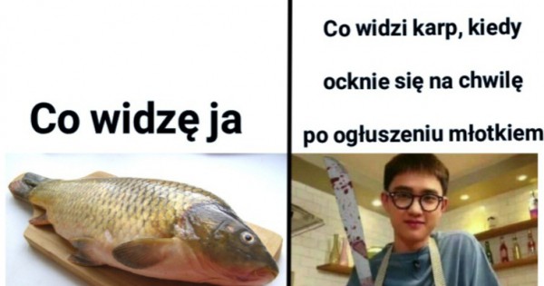 Biedna ryba - Jeja.pl