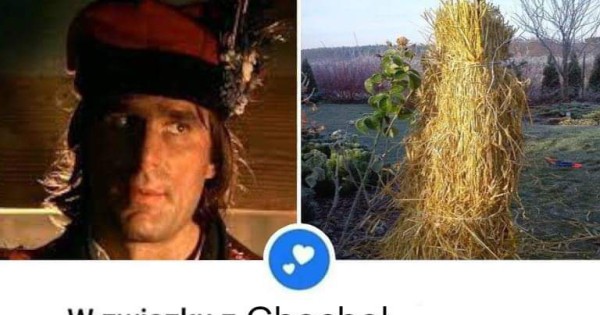 Gdzie róg? - Jeja.pl