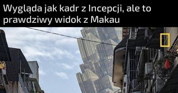 Gdyby powstała Incepcja 2 - Jeja.pl