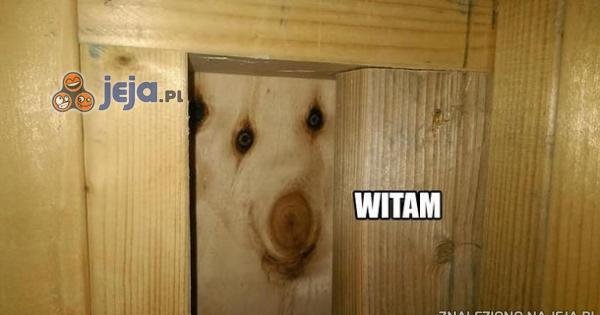 Witam! - Jeja.pl