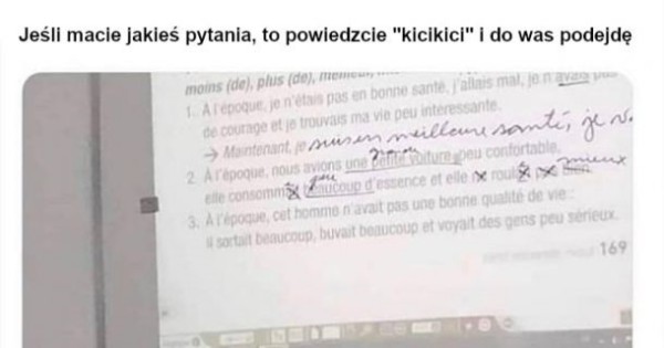 Koci wykładowca - Jeja.pl