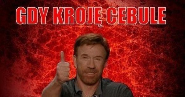 Cebula - Jeja.pl