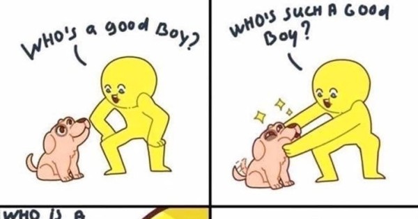 Koszmar psów - Jeja.pl