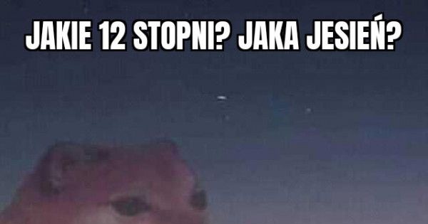 No weźcie... - Jeja.pl