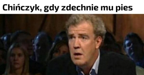 Chomik posiada około 70 kalorii - Jeja.pl