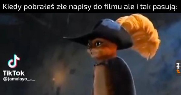 Stachu Jones - Jeja.pl