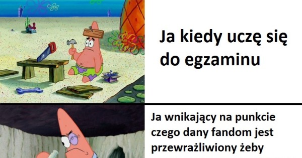 Priorytety - Jeja.pl