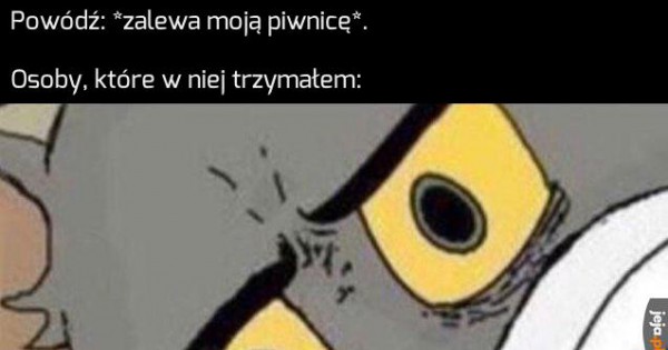 Bul bul bul - Jeja.pl