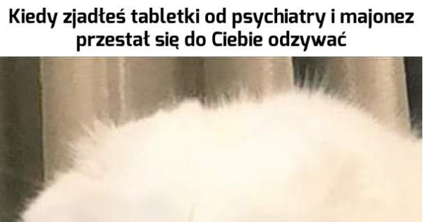 Prosze nie bierz tabletek - Jeja.pl